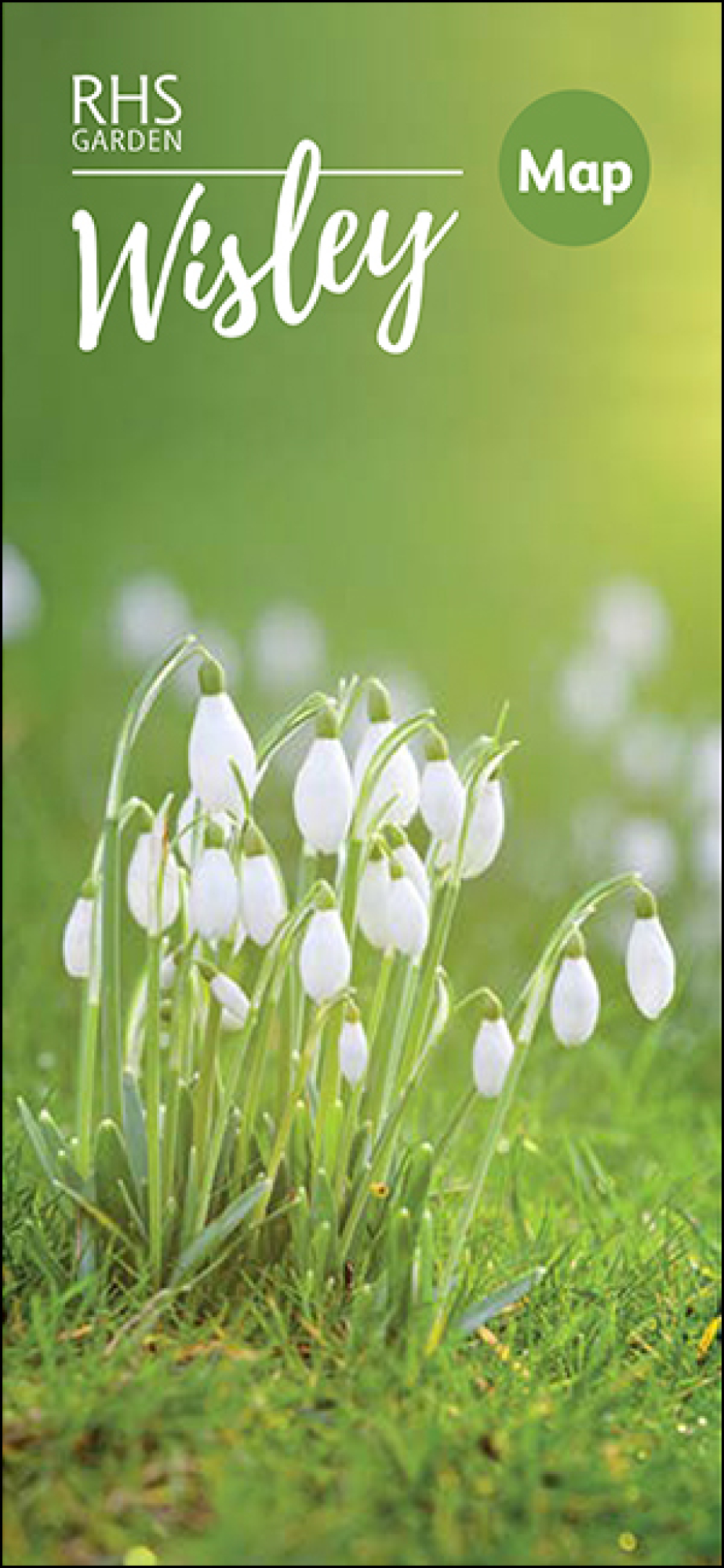 Lee Beel | Garden Photographer's Association