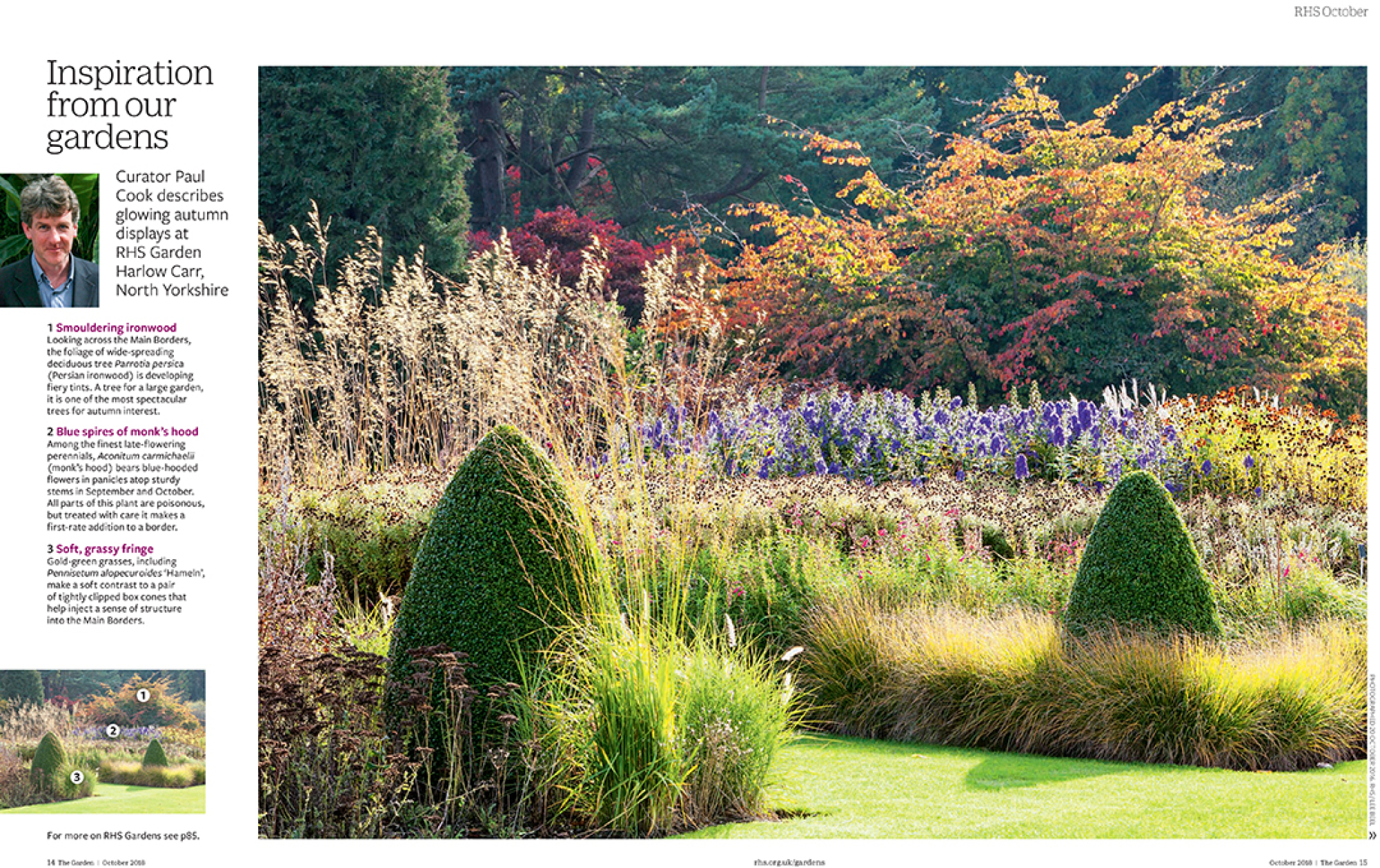 Lee Beel | Garden Photographer's Association