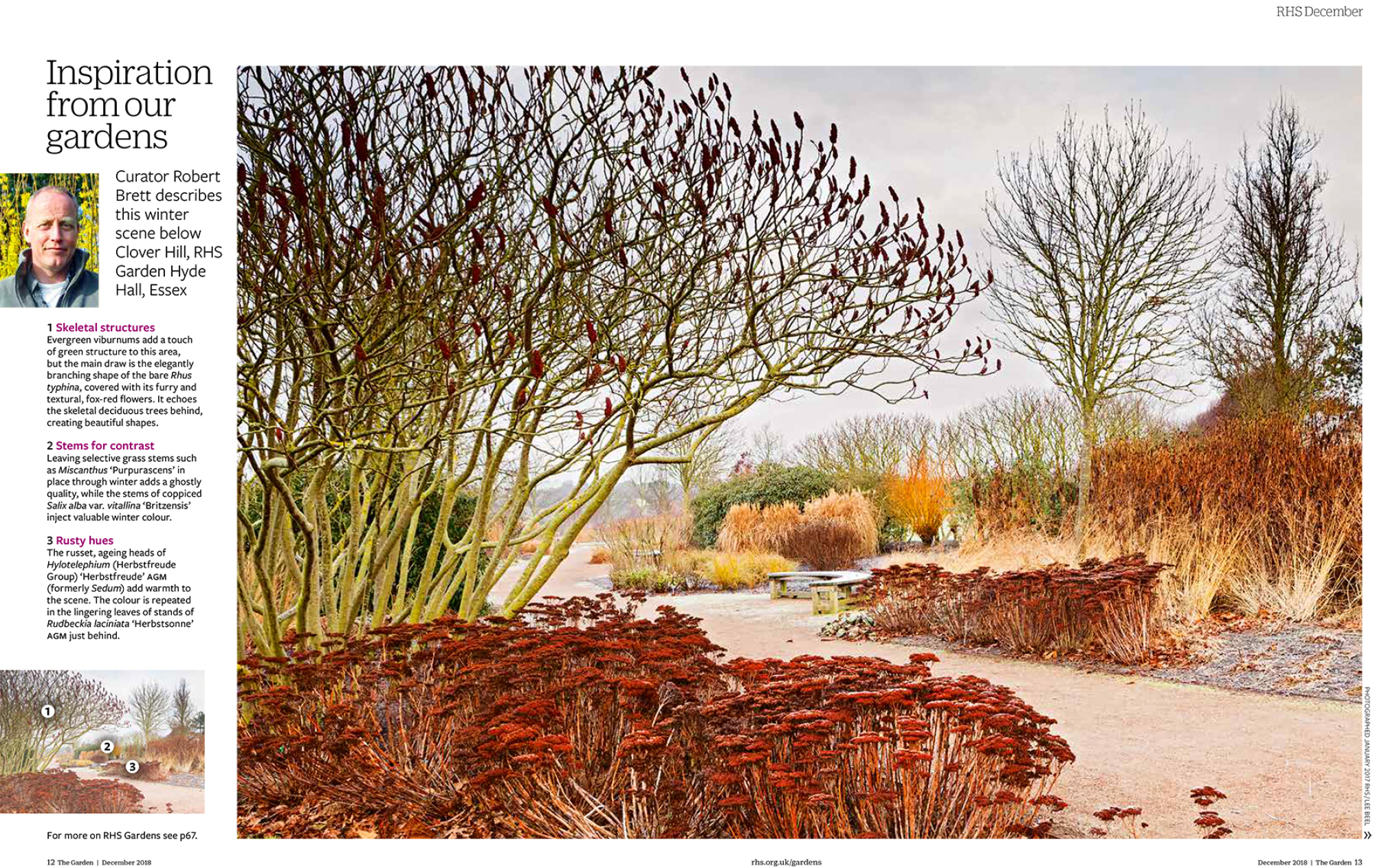 Lee Beel | Garden Photographer's Association