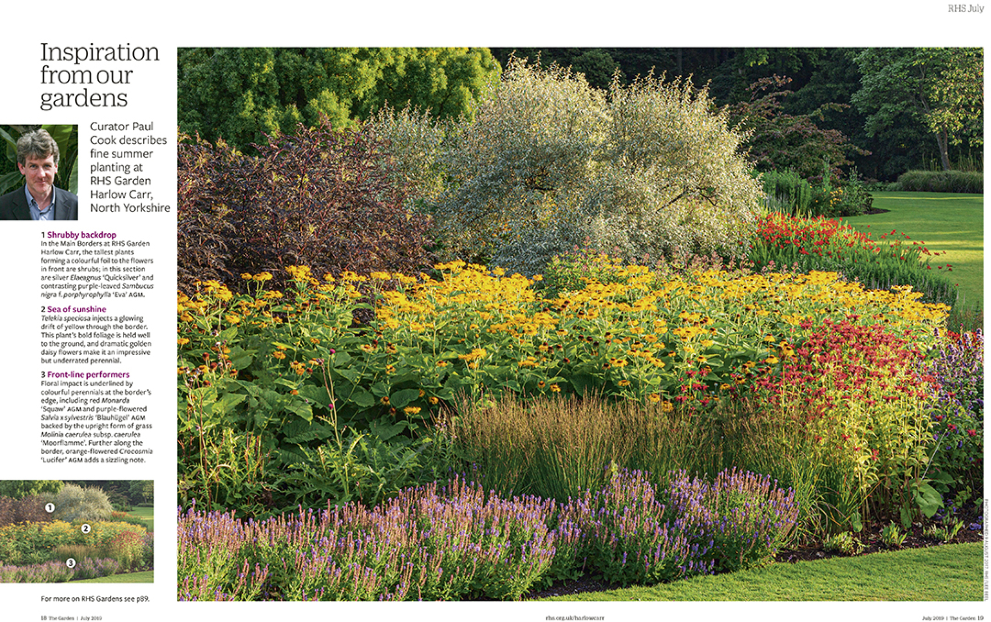 Lee Beel | Garden Photographer's Association