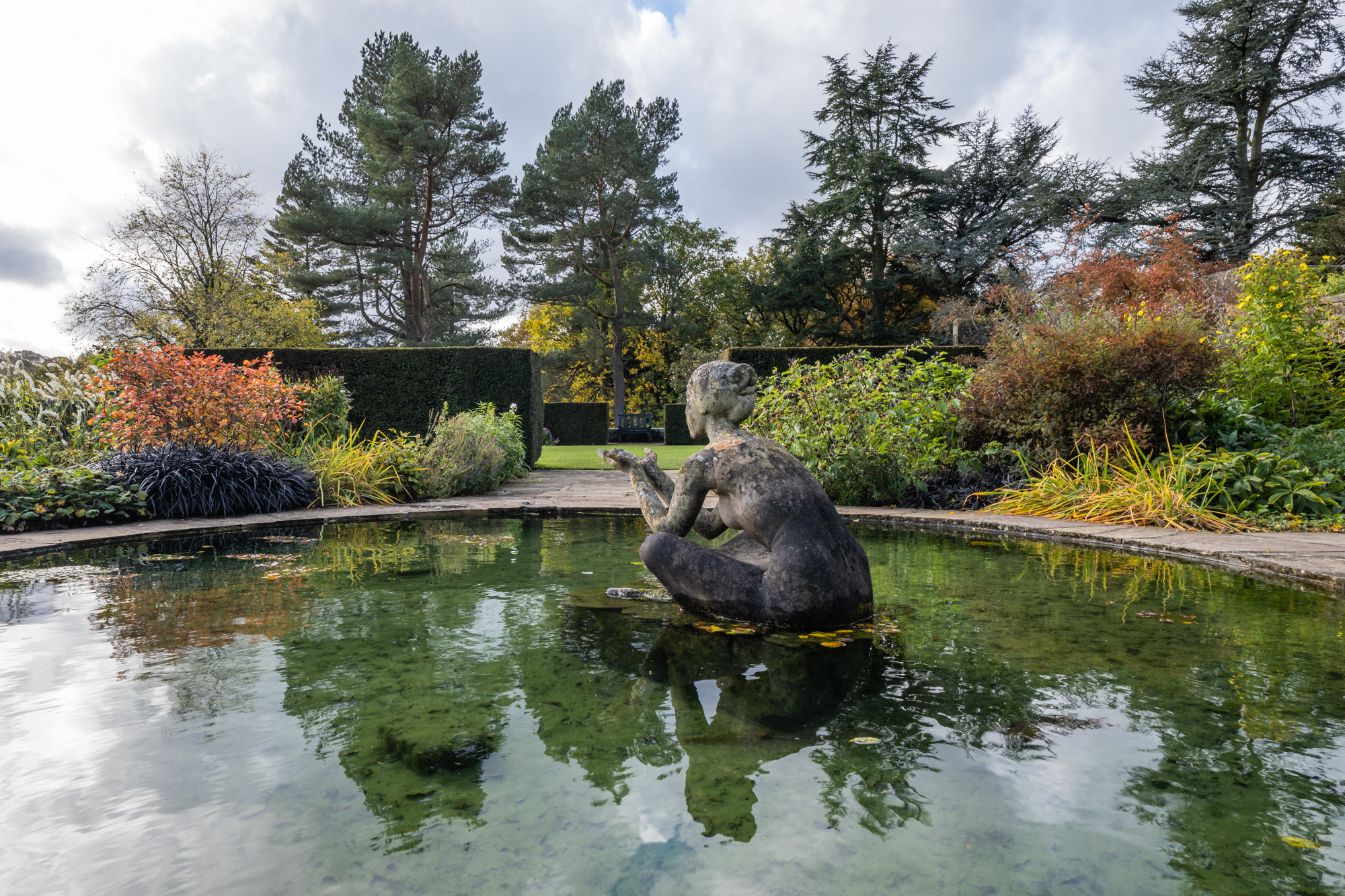 Helen Tabor | Garden Photographer's Association