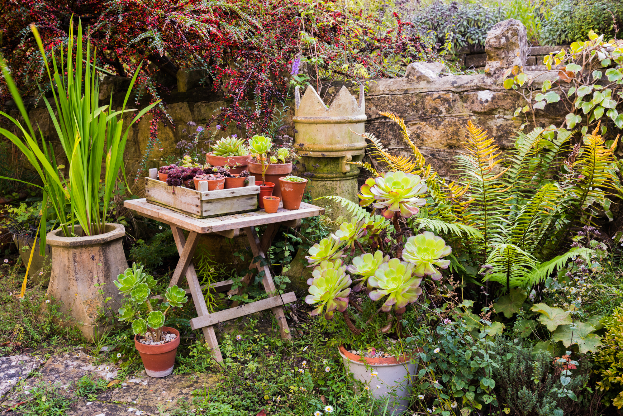 Carole Drake | Garden Photographer's Association